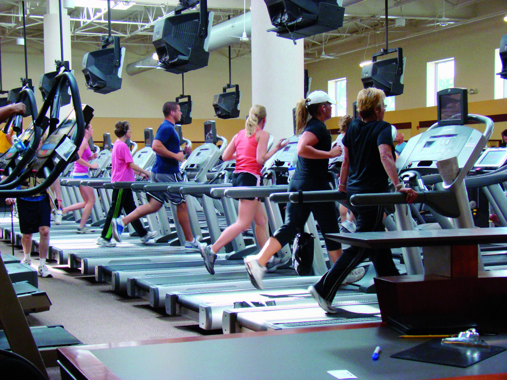 Fun Facts about Fitness